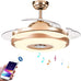 Retractable ceiling fan with Bluetooth speaker – Exclusive Home Decorations