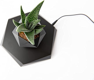 Magnetic levitation planter is suspended in the air – Exclusive Home ...