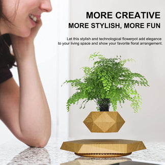 Magnetic levitation planter is suspended in the air – Exclusive Home ...