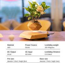Magnetic levitation planter is suspended in the air – Exclusive Home ...