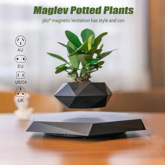 Magnetic levitation planter is suspended in the air – Exclusive Home ...