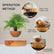 Rotating Magnetic Levitation Floating Planter – Exclusive Home Decorations