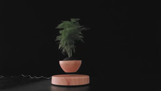 Rotating Magnetic Levitation Floating Planter – Exclusive Home Decorations