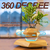 Magnetic levitation planter is suspended in the air – Exclusive Home ...